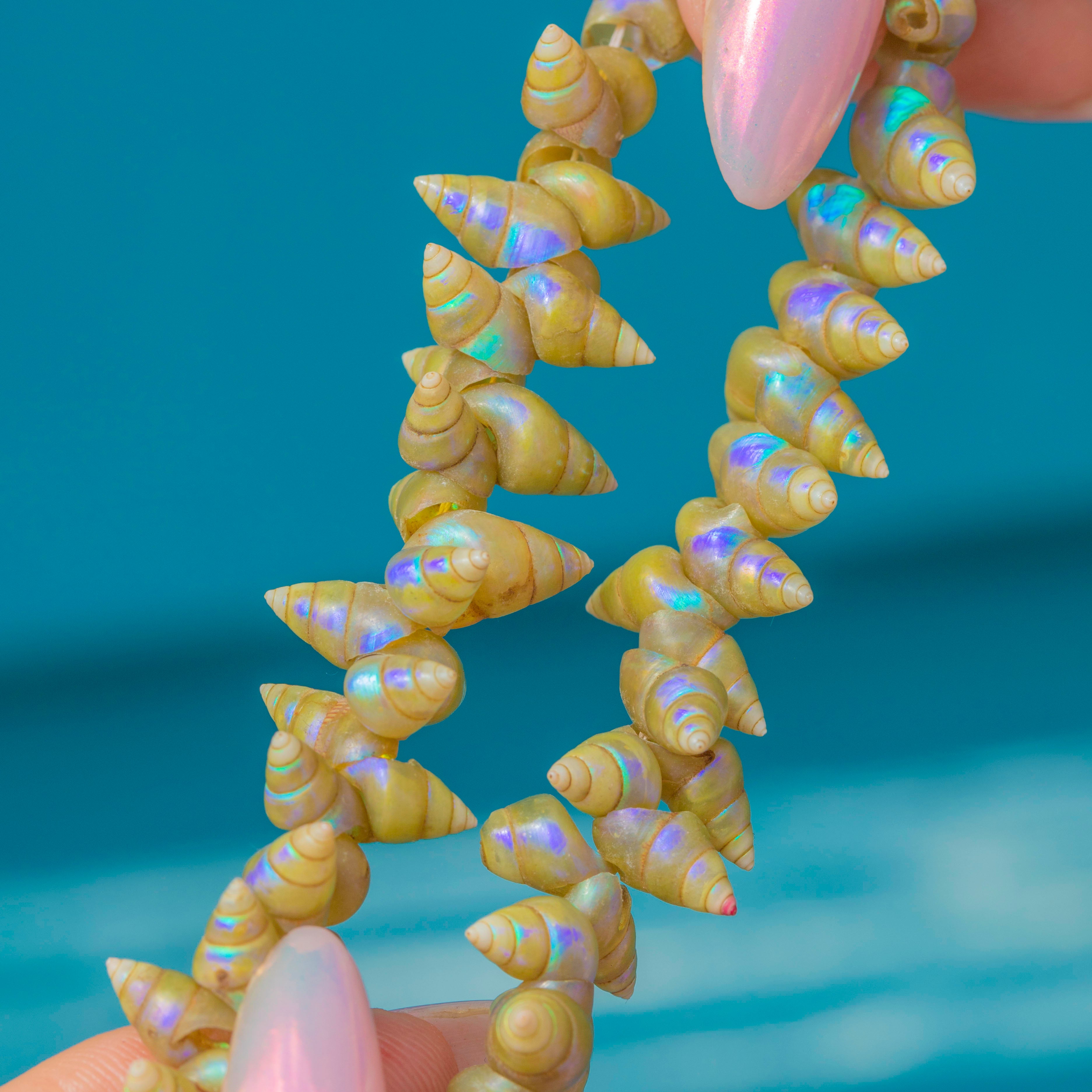 Rare Iridescent Maireener Tasmanian Shell Necklace