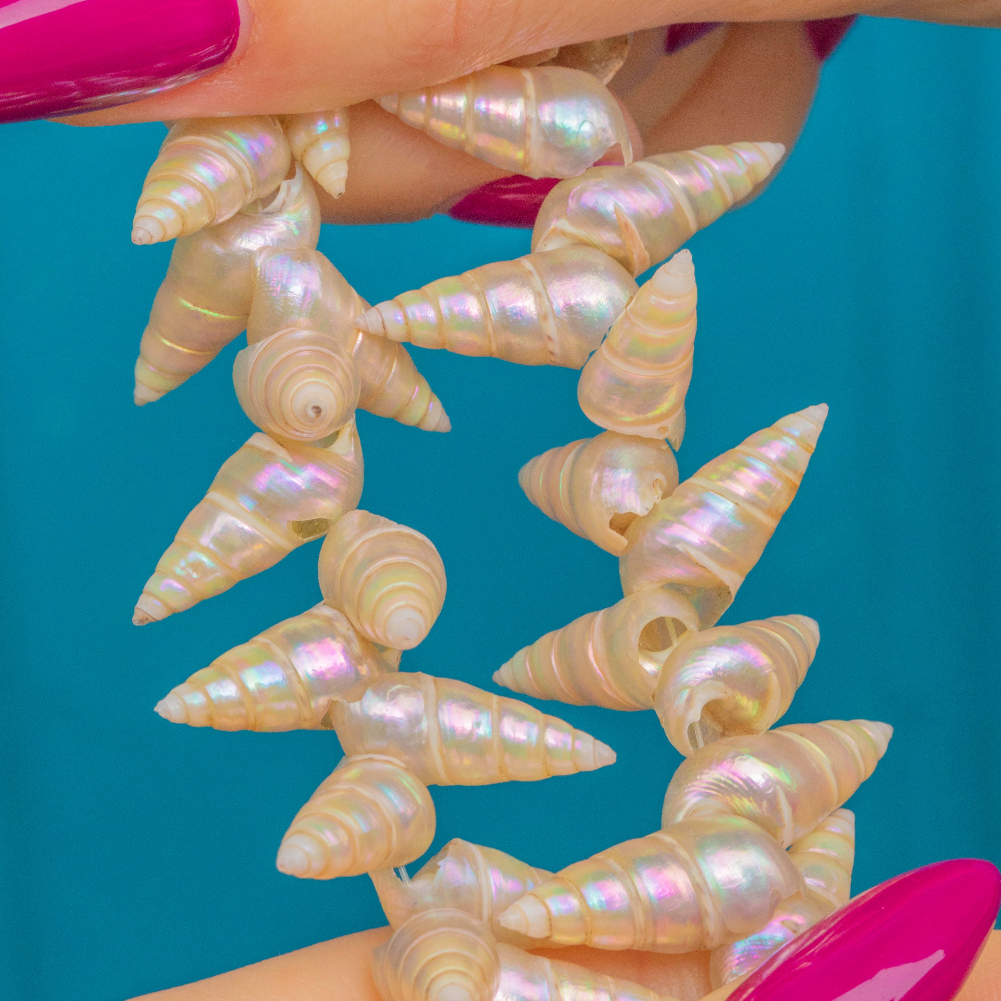 Rare Pink Iridescent Maireener Tasmanian Shell Necklace